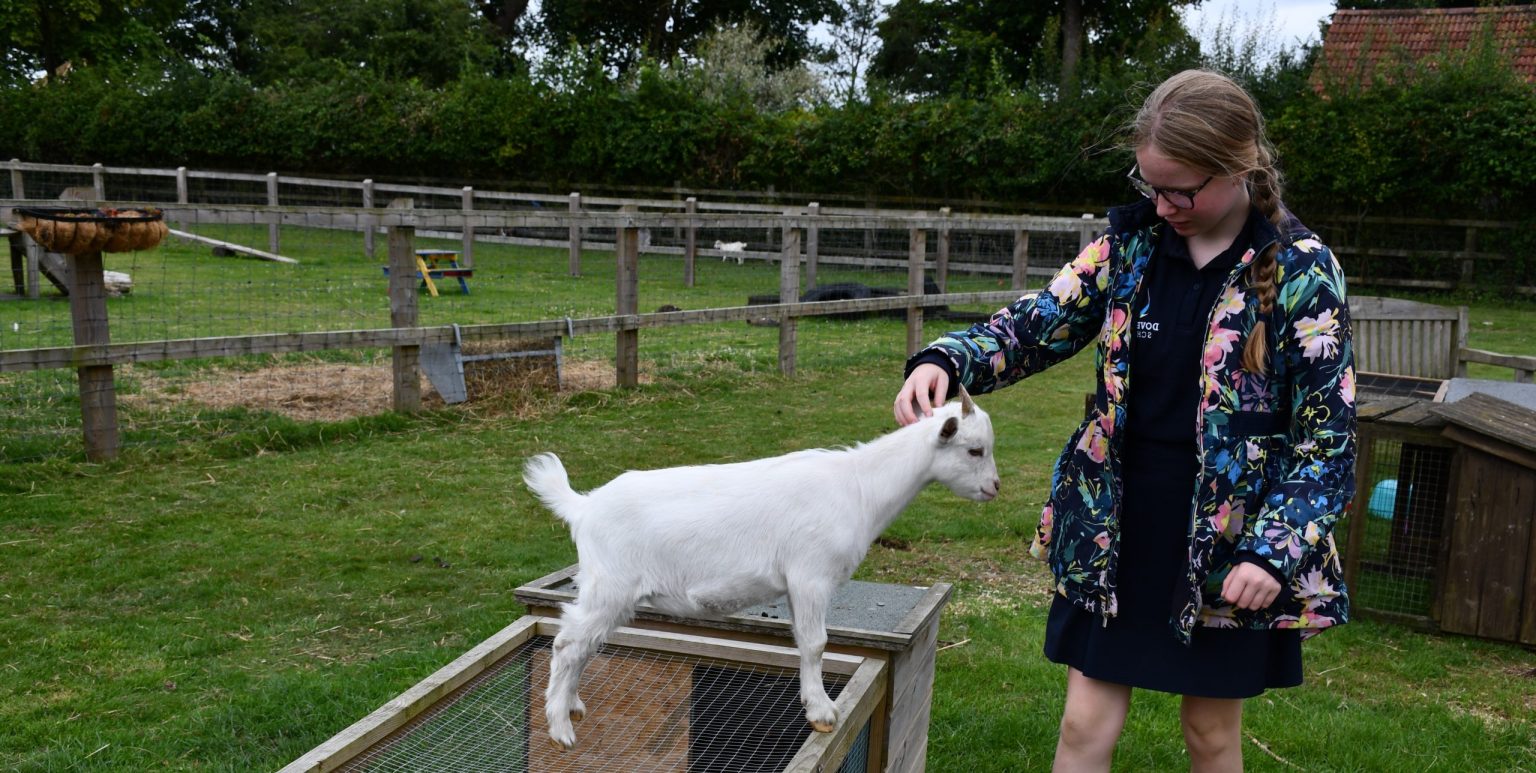 Our Vision | Dovecote School